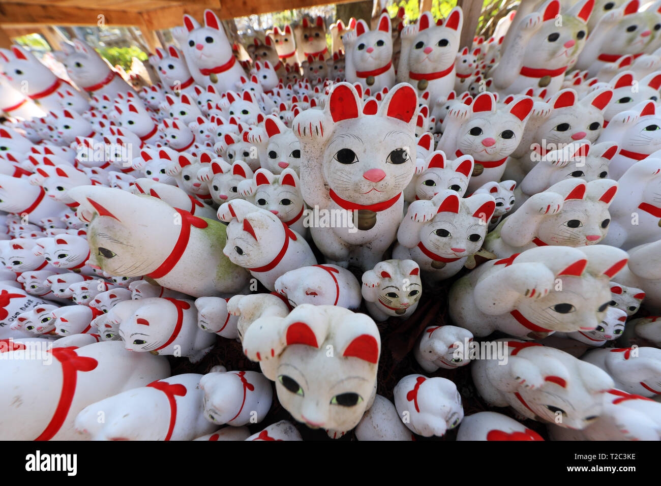 Maneki-Neko waving cat statues at the Gotokuji Temple in the Setagaya ...