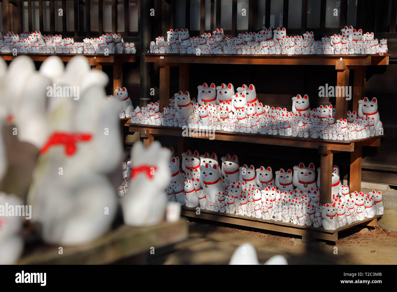 Maneki-Neko waving cat statues at the Gotokuji Temple in the Setagaya ...