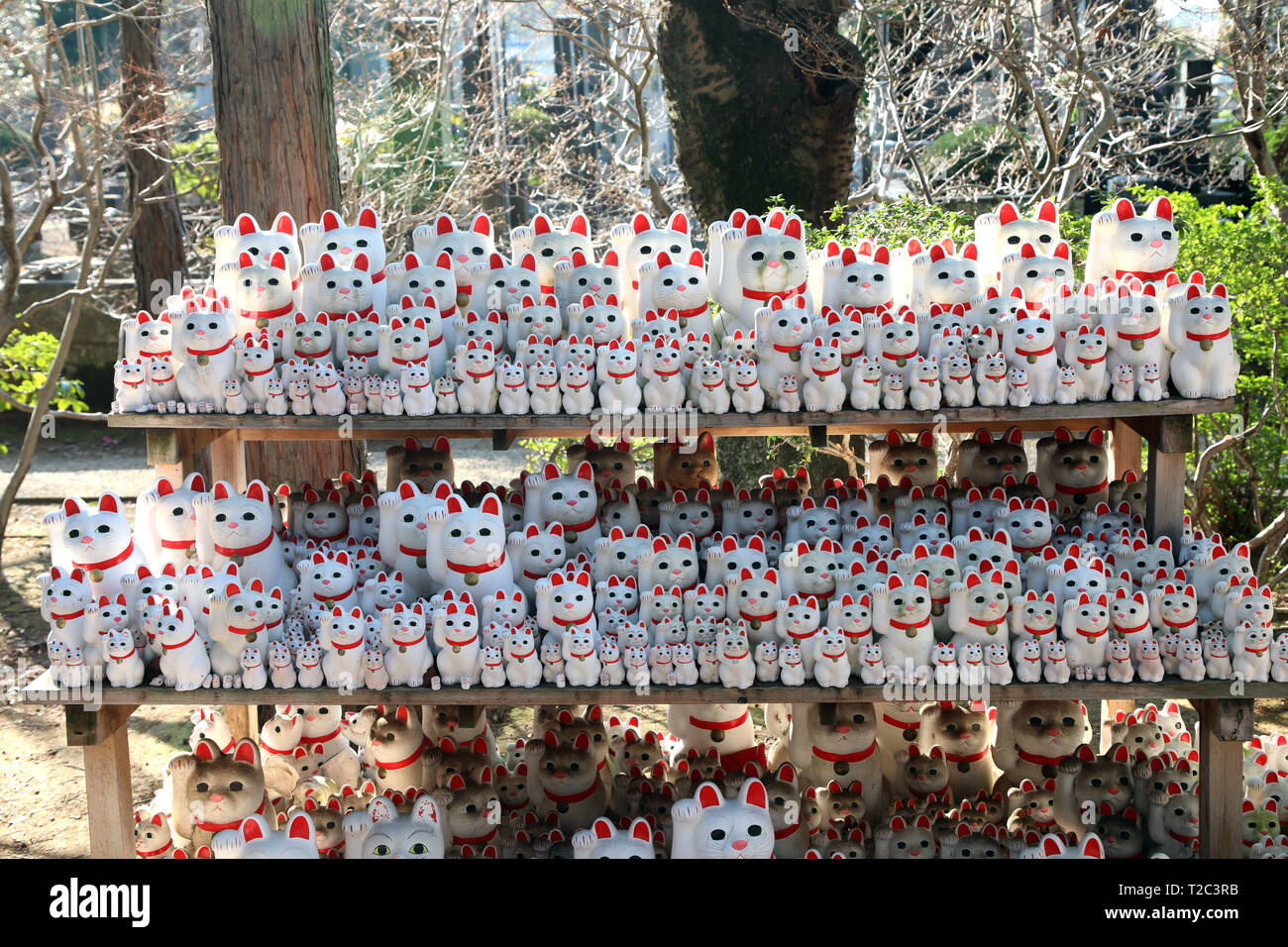 Maneki-Neko waving cat statues at the Gotokuji Temple in the Setagaya district of Tokyo in Japan ...