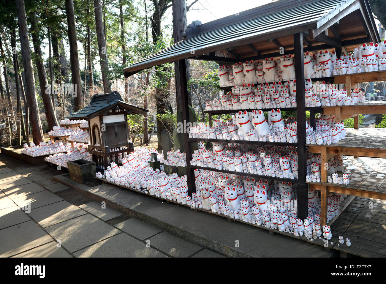 Maneki-Neko waving cat statues at the Gotokuji Temple in the Setagaya district of Tokyo in Japan ...