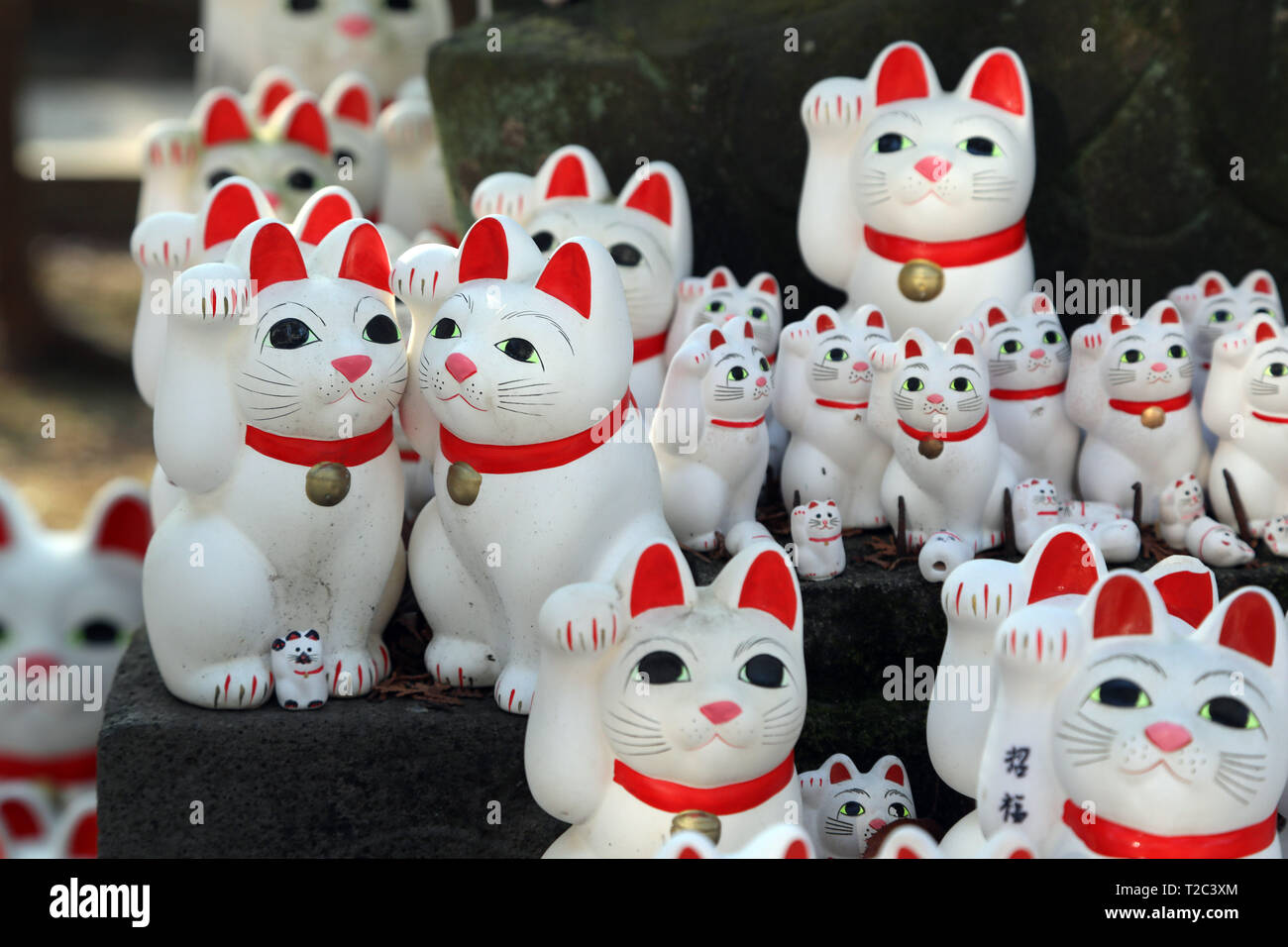 Cat statues hi-res stock photography and images - Alamy