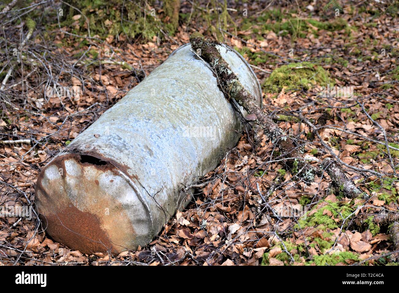 Rusty, galvanised, cylindrical, water tank abandoned in a leafy forest ...