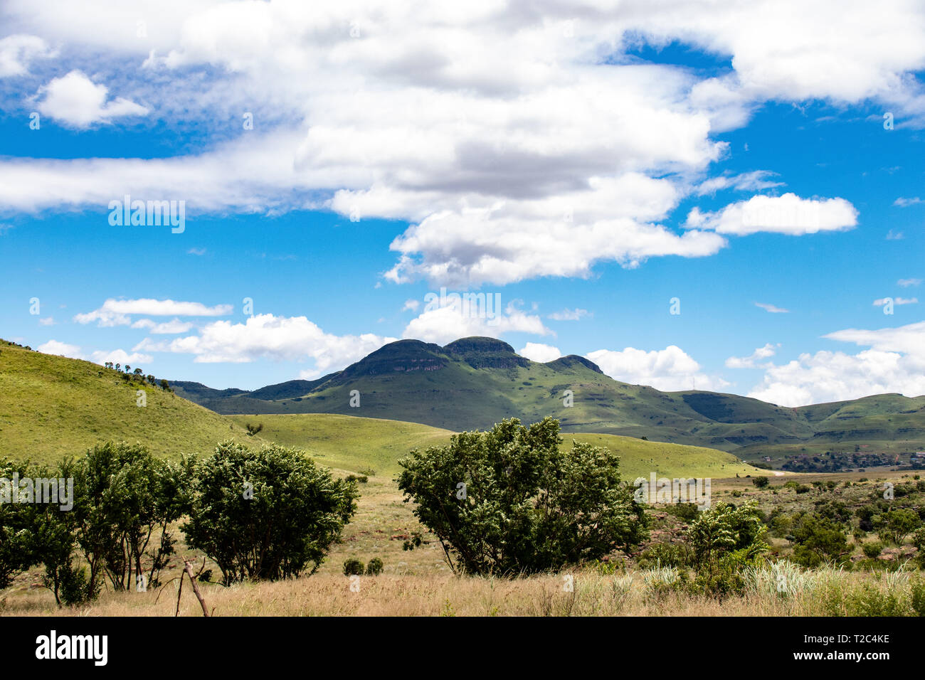 Smooth hill landscape with grass in africa Stock Photo - Alamy