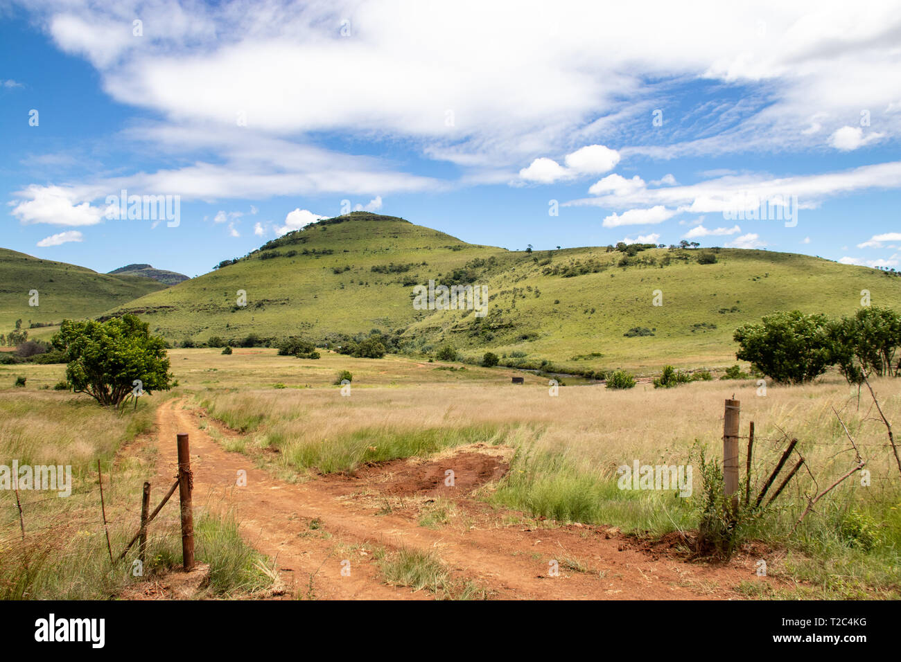 Smooth hill landscape with grass in africa Stock Photo - Alamy