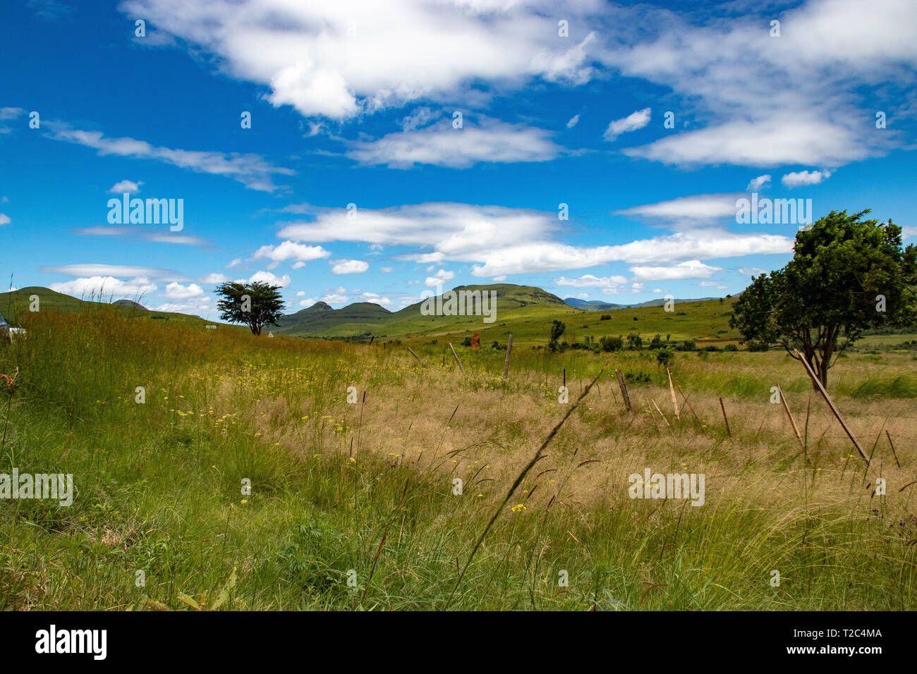 Smooth hill landscape with grass in africa Stock Photo - Alamy
