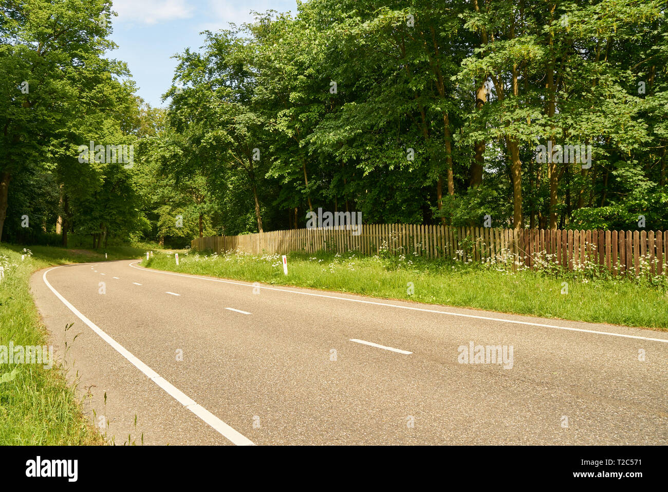 Empty curvy landscape hi-res stock photography and images - Alamy
