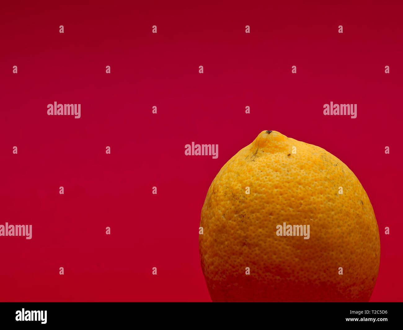 One single lemon isolated on magenta background Stock Photo - Alamy