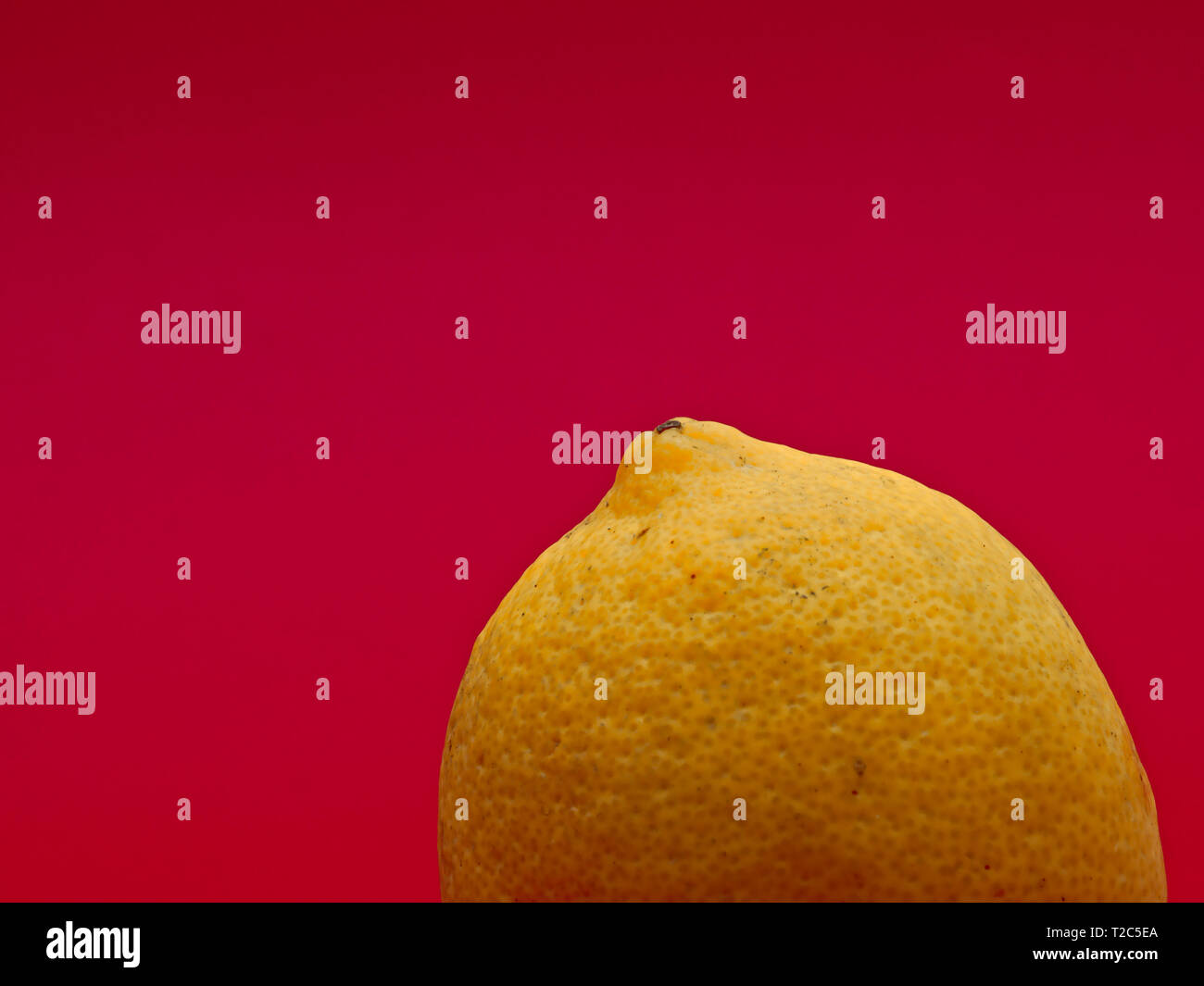 One single lemon isolated on magenta background Stock Photo - Alamy
