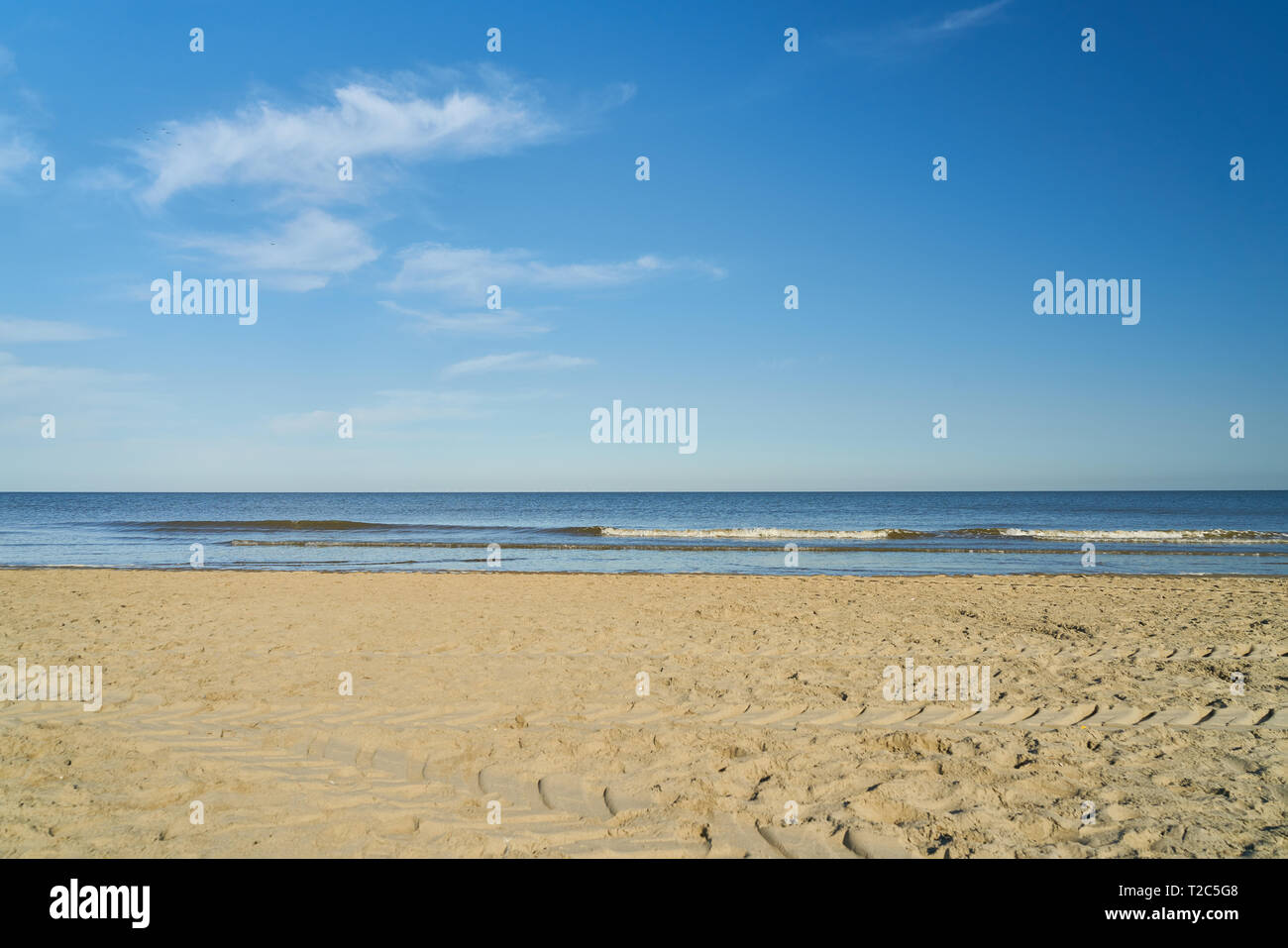 Empty beach at North Sea in front of a blue sky with few white clouds ...