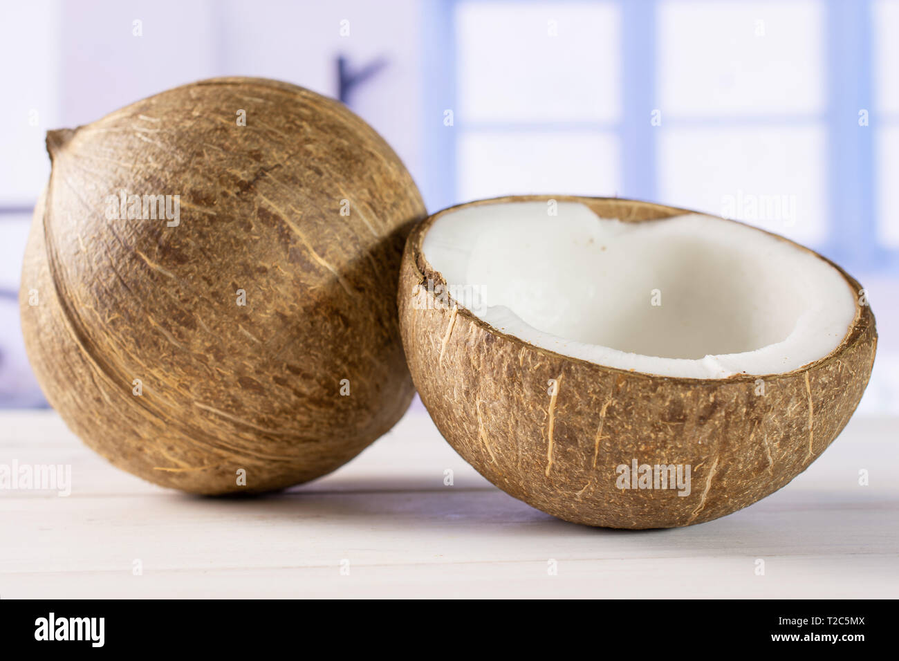 Group of one whole one half of fresh bio coconut with blue window in a ...