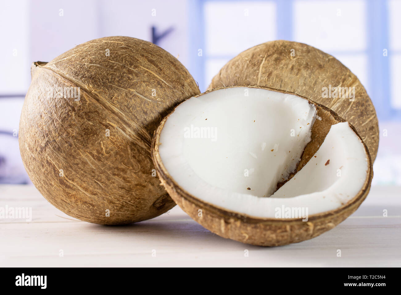 Group of two whole one half of fresh bio coconut with blue window in a ...