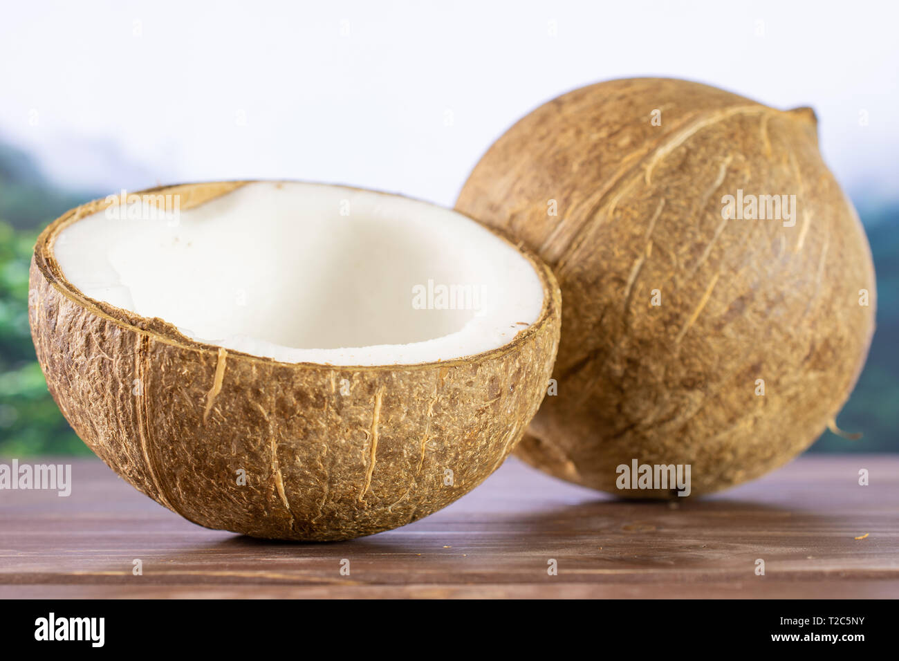 Group of one whole one half of fresh bio coconut in a foggy jungle ...