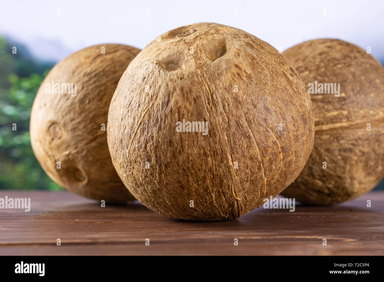 Coco nut head hi-res stock photography and images - Alamy