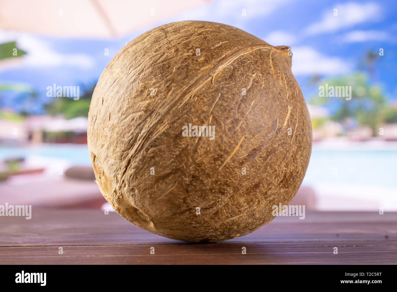 Coco nut head hi-res stock photography and images - Alamy