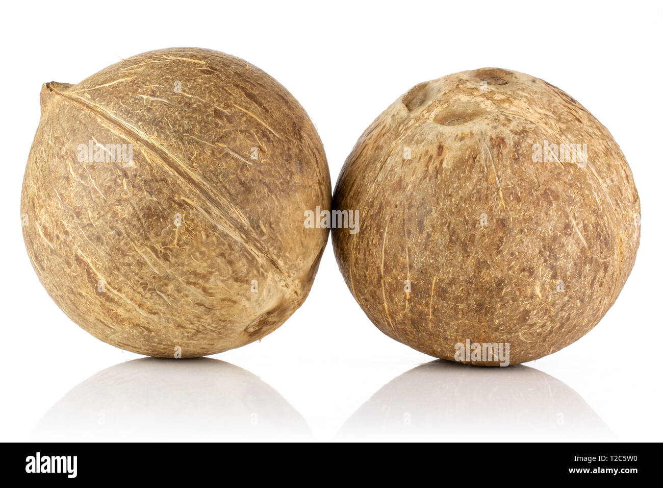 Group of two whole young fresh bio coconut isolated on white background ...