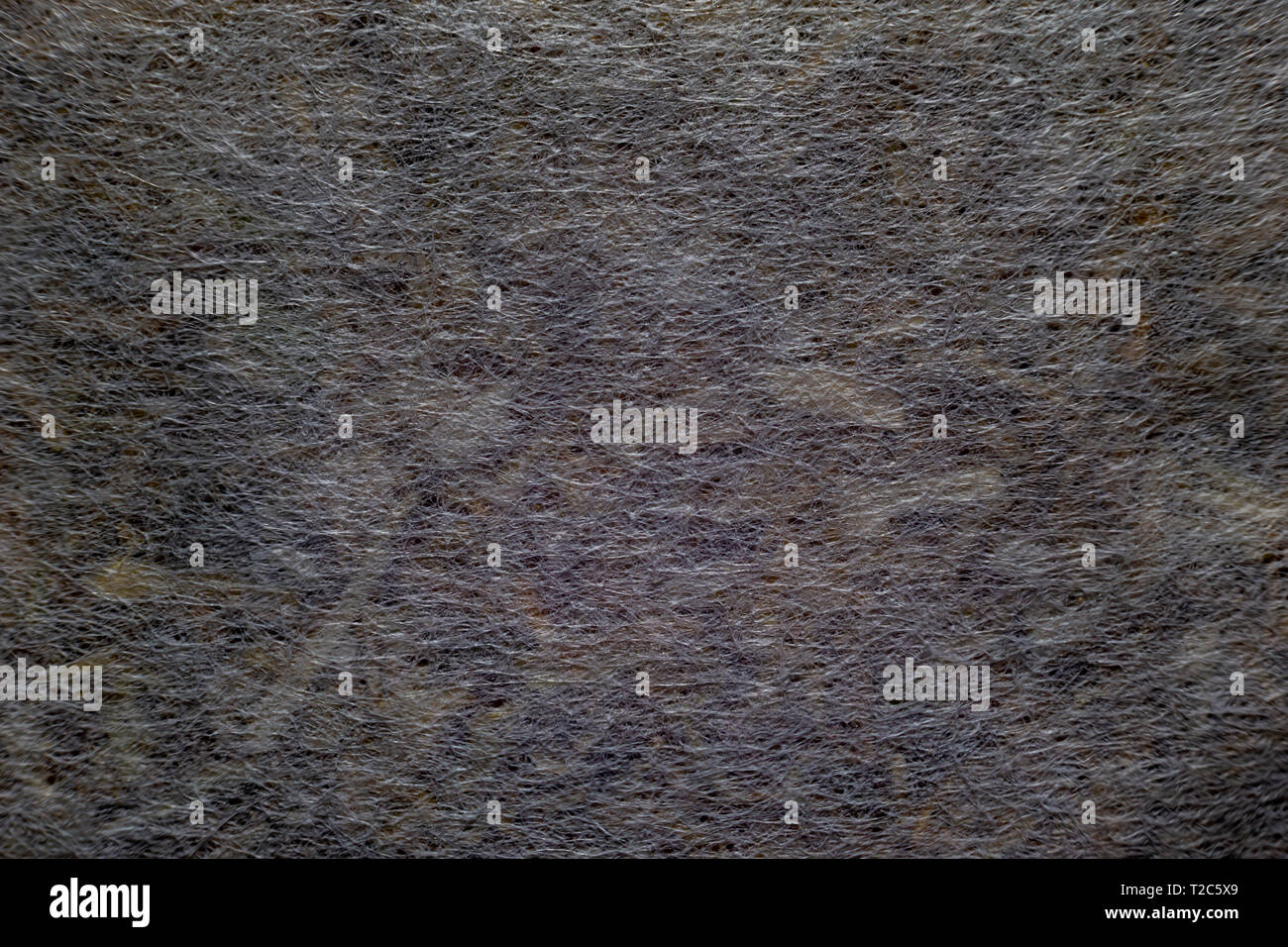 Square teabag hi-res stock photography and images - Alamy