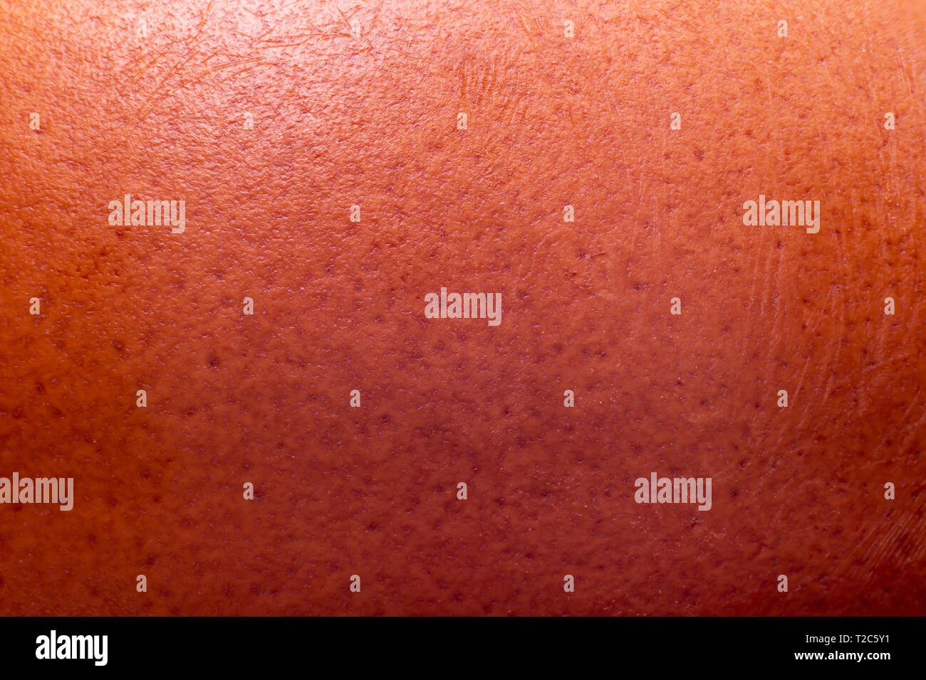 Egg shell structure hi-res stock photography and images - Alamy