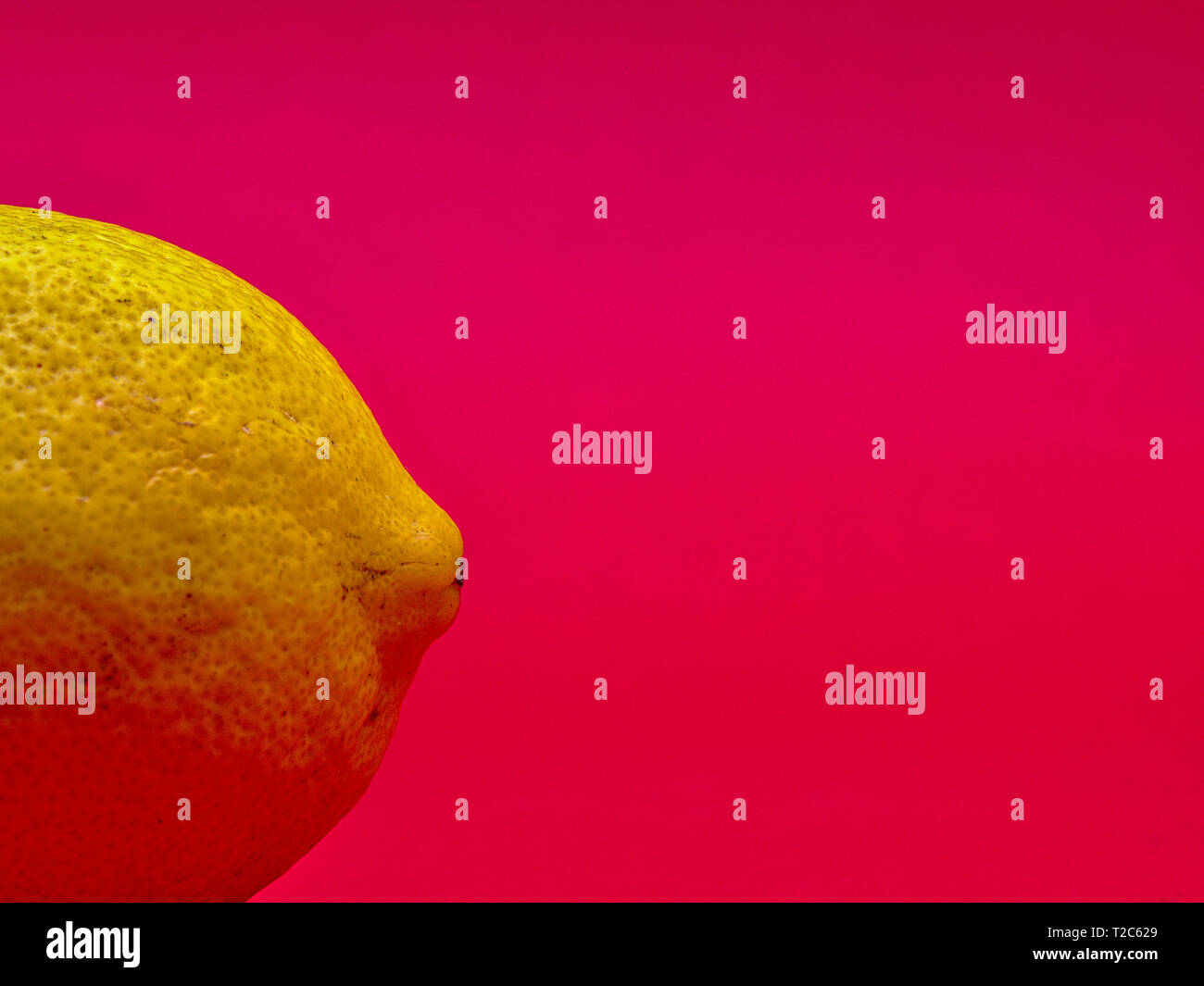 One single lemon isolated on magenta background. Entering from left ...