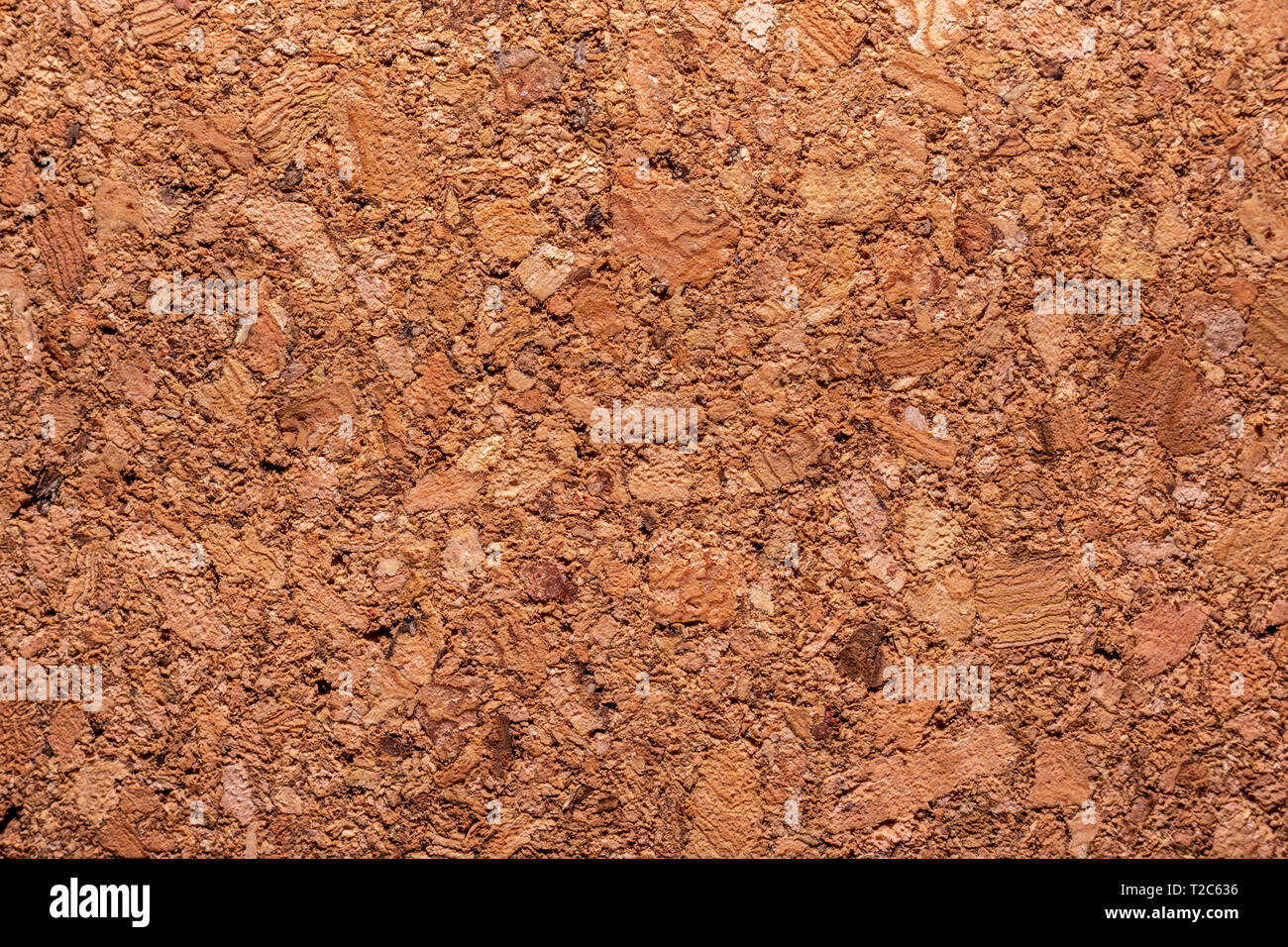 Extreme macro shot of a cork board showing the structure of the ...