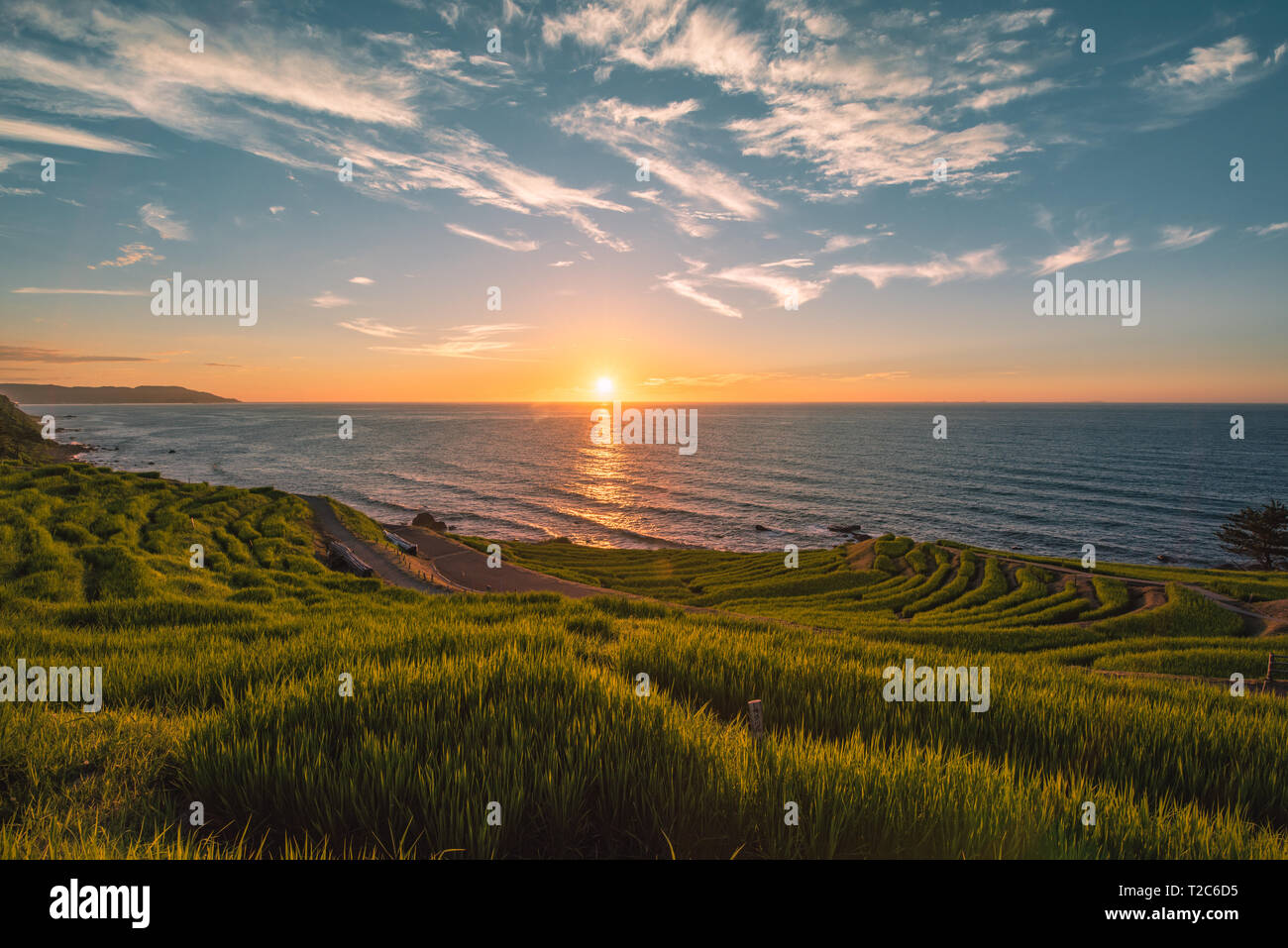 Shiroyone senmaida rice terrace hi-res stock photography and images - Alamy