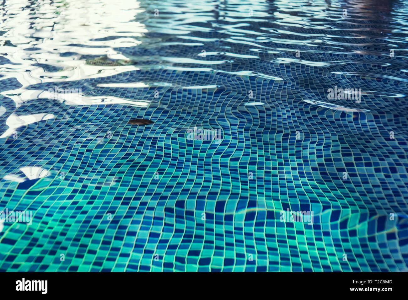 A close up of a clean swimming pool water at the light-blue tiled floor ...
