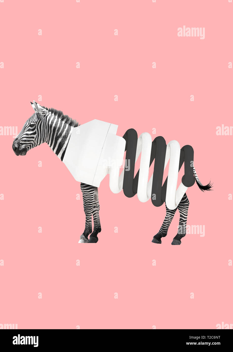 An alternative source of energy. Eco lamp is a warning for hunters ...