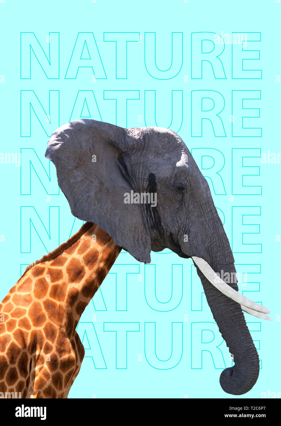 Teamwork can be different. In touch with wild nature - it may be ...