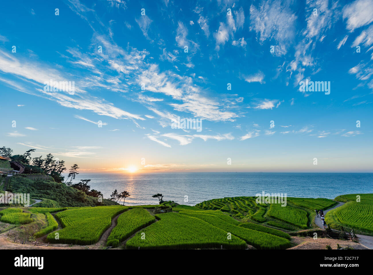 Beautiful Sunset View of Senmaida Rice paddy terrace Wajima Ishikawa ...