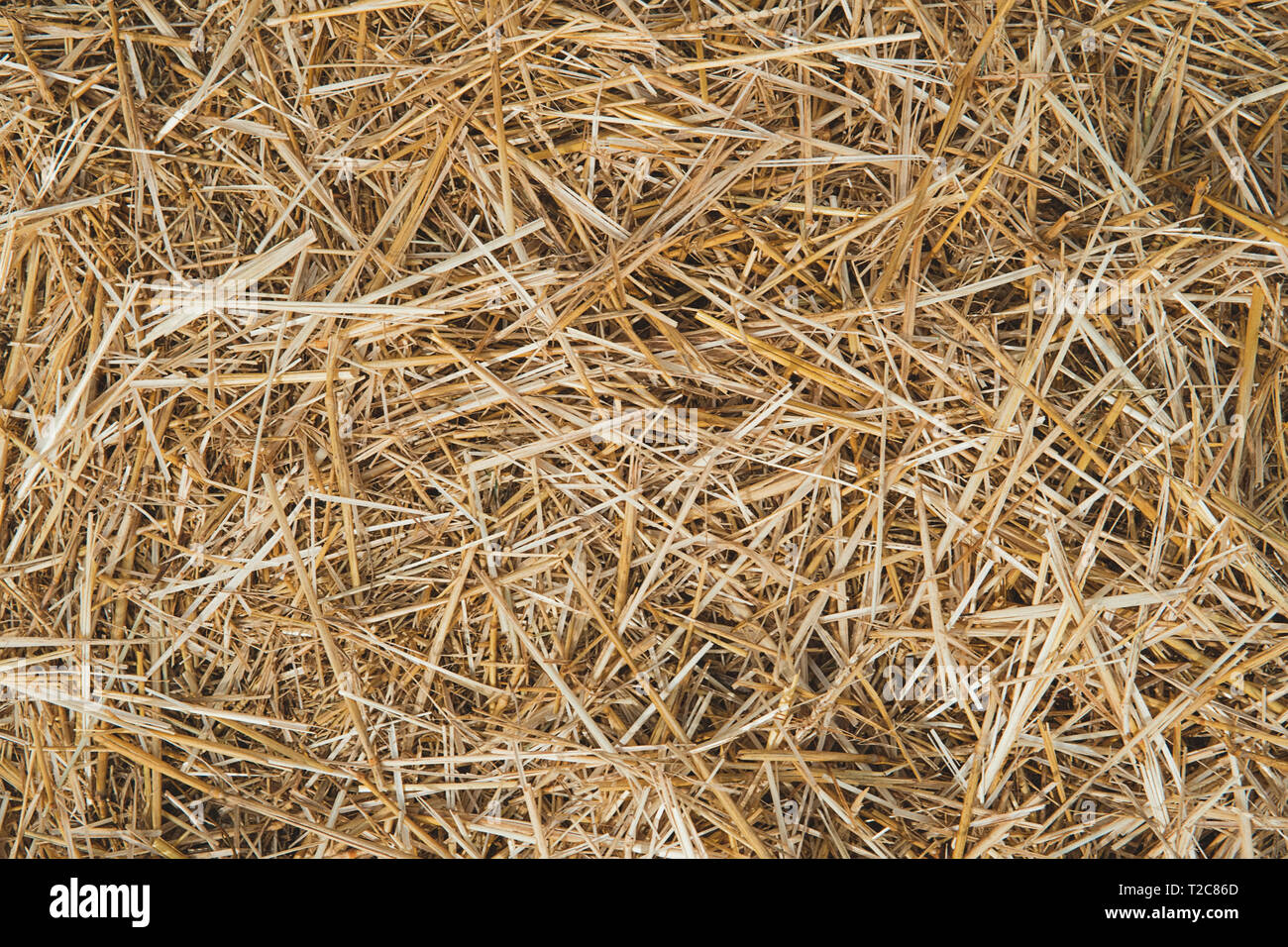 Ground straw texture hi-res stock photography and images - Alamy