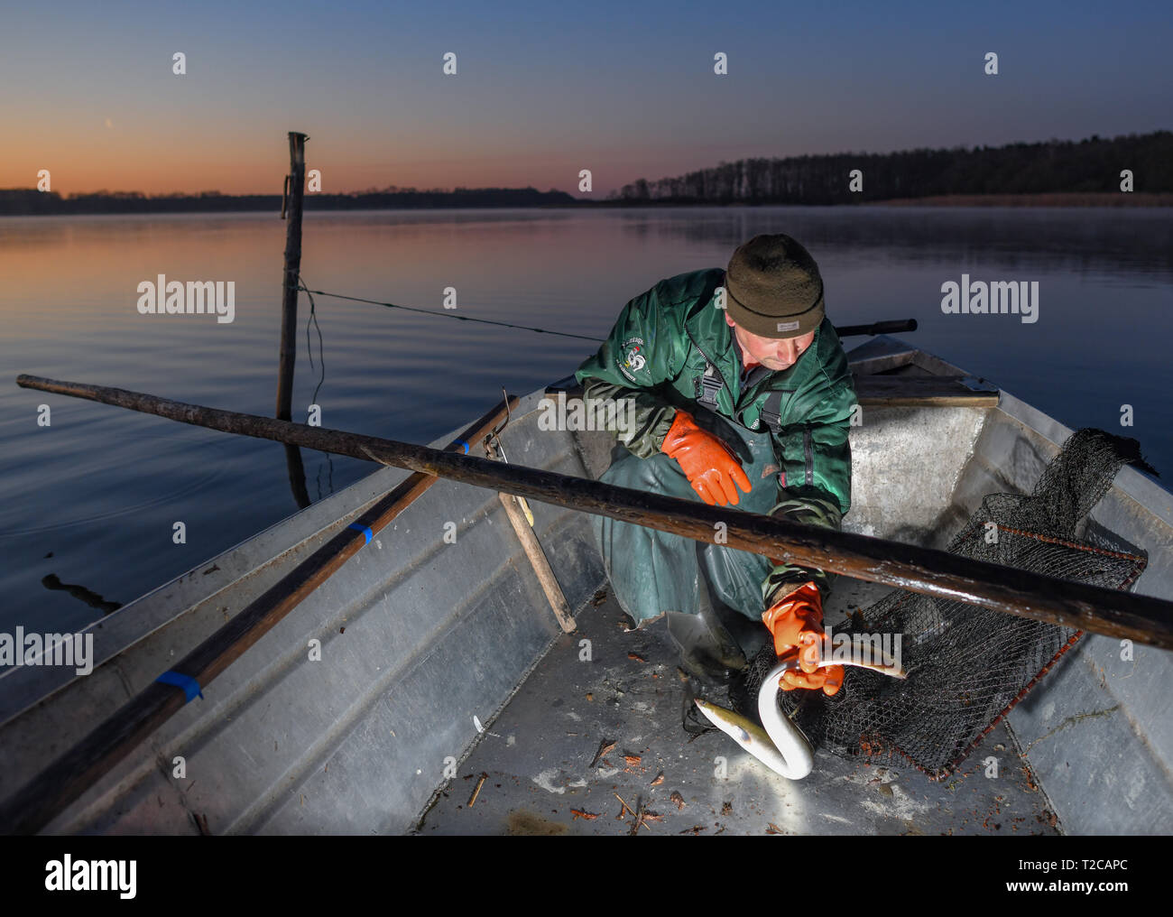 Half pike hi-res stock photography and images - Alamy