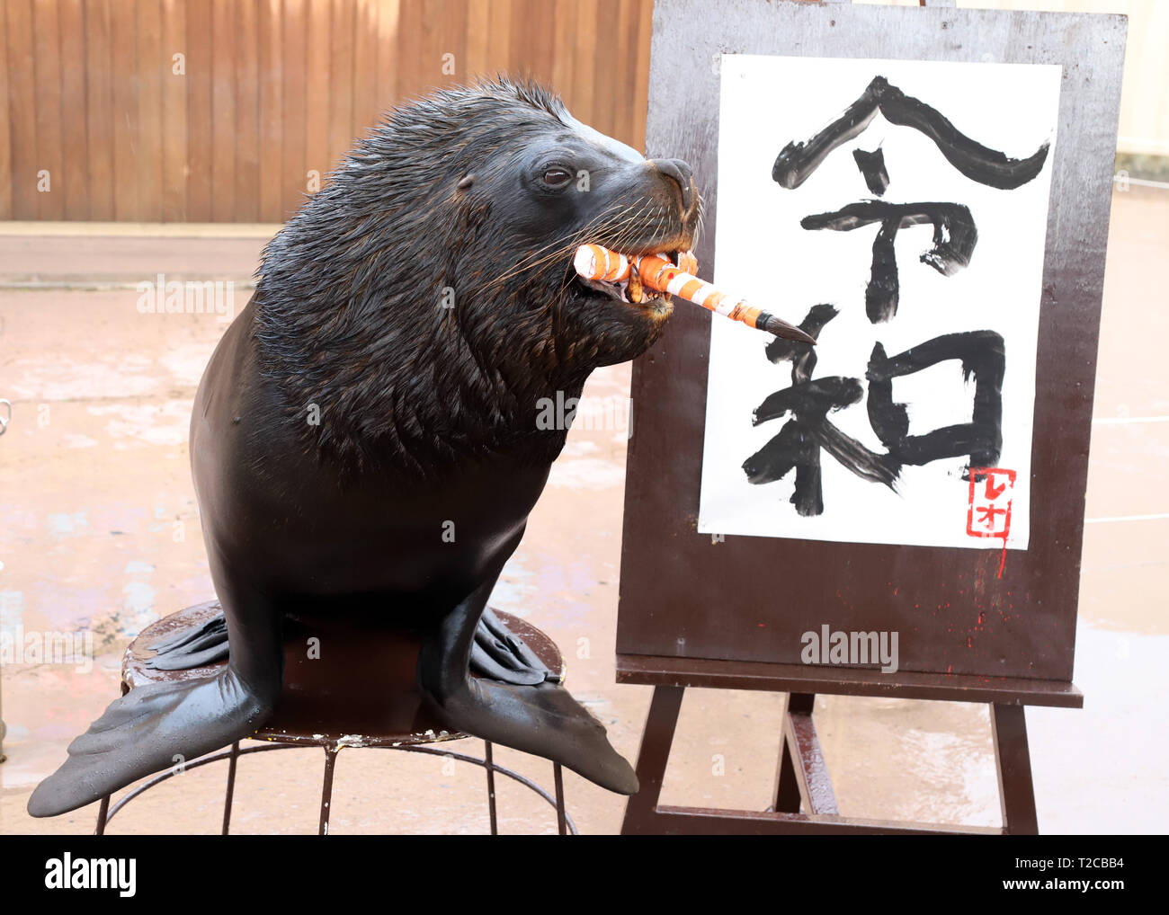 Yokohama, Japan. 1st Apr, 2019. A male sea lion "Leo" shows its calligraphy skills writing the ...