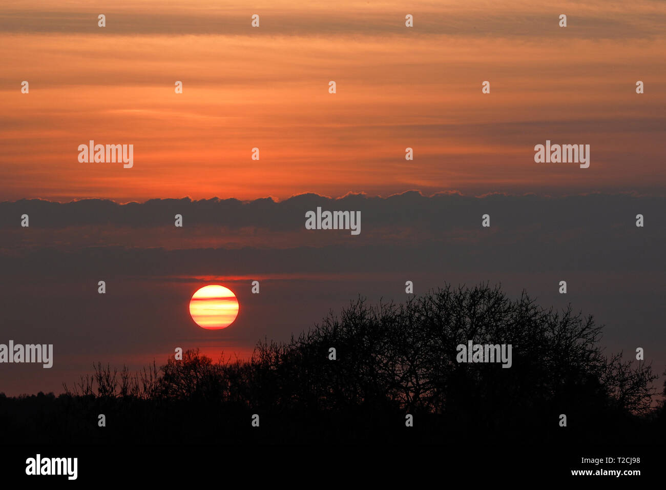 Tuesley Farm, Godalming. 01st April 2019. A beautiful end to the day ...