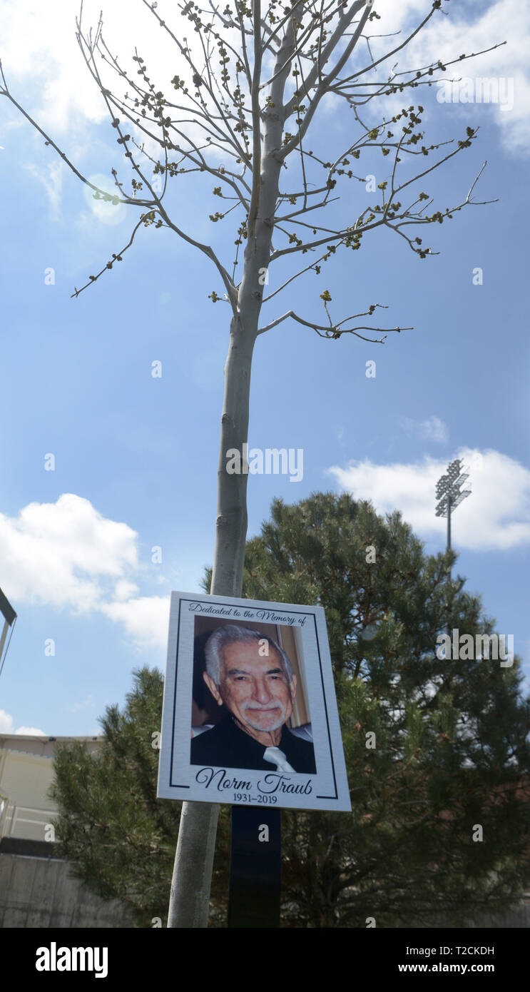 April 1, 2019 - U.S. - SPORTS -- Isotopes staff planted a tree next to ...