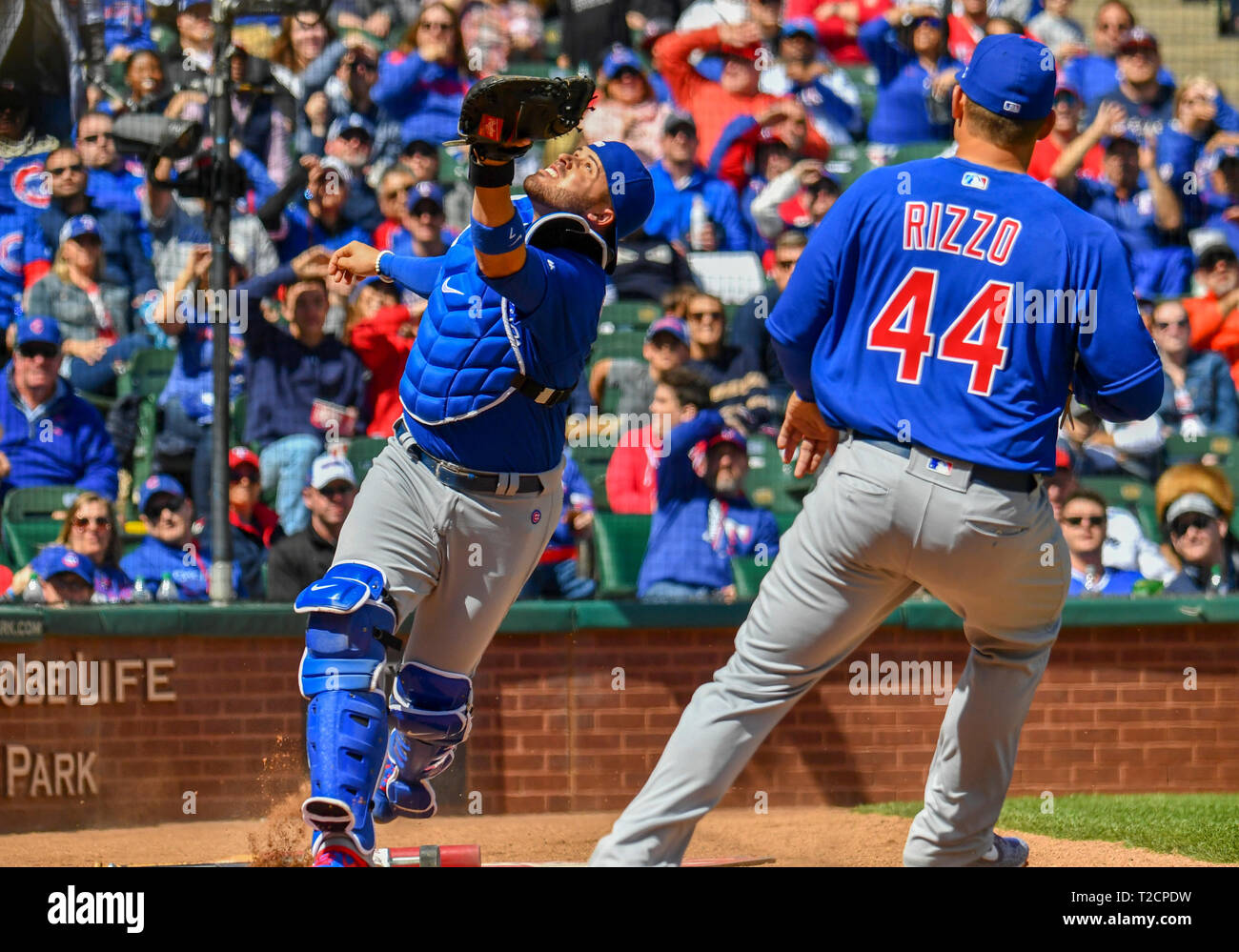 2019 504 jpg hi-res stock photography and images - Alamy