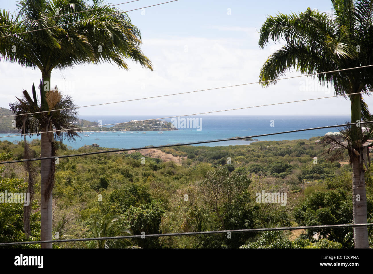 Climate march antigua hi-res stock photography and images - Alamy