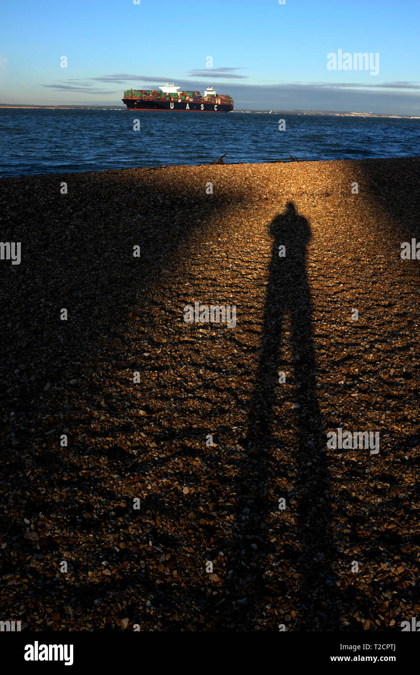 shadow,of,man,photographing,beach,container,ship,evening,light,The ...