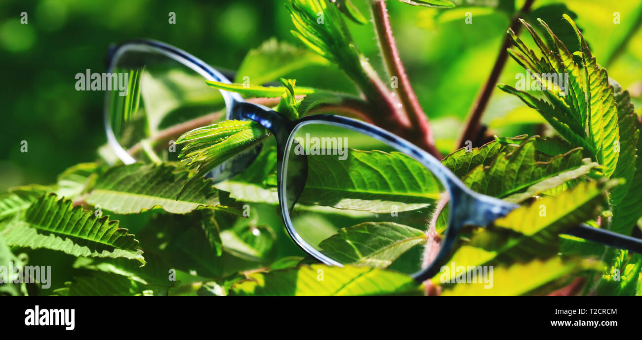 Myopia disease hi-res stock photography and images - Alamy