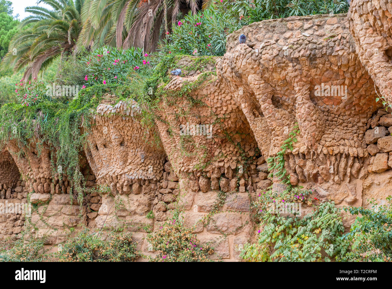 Columns among the trees made of stone in Park Guell designed by Antoni ...