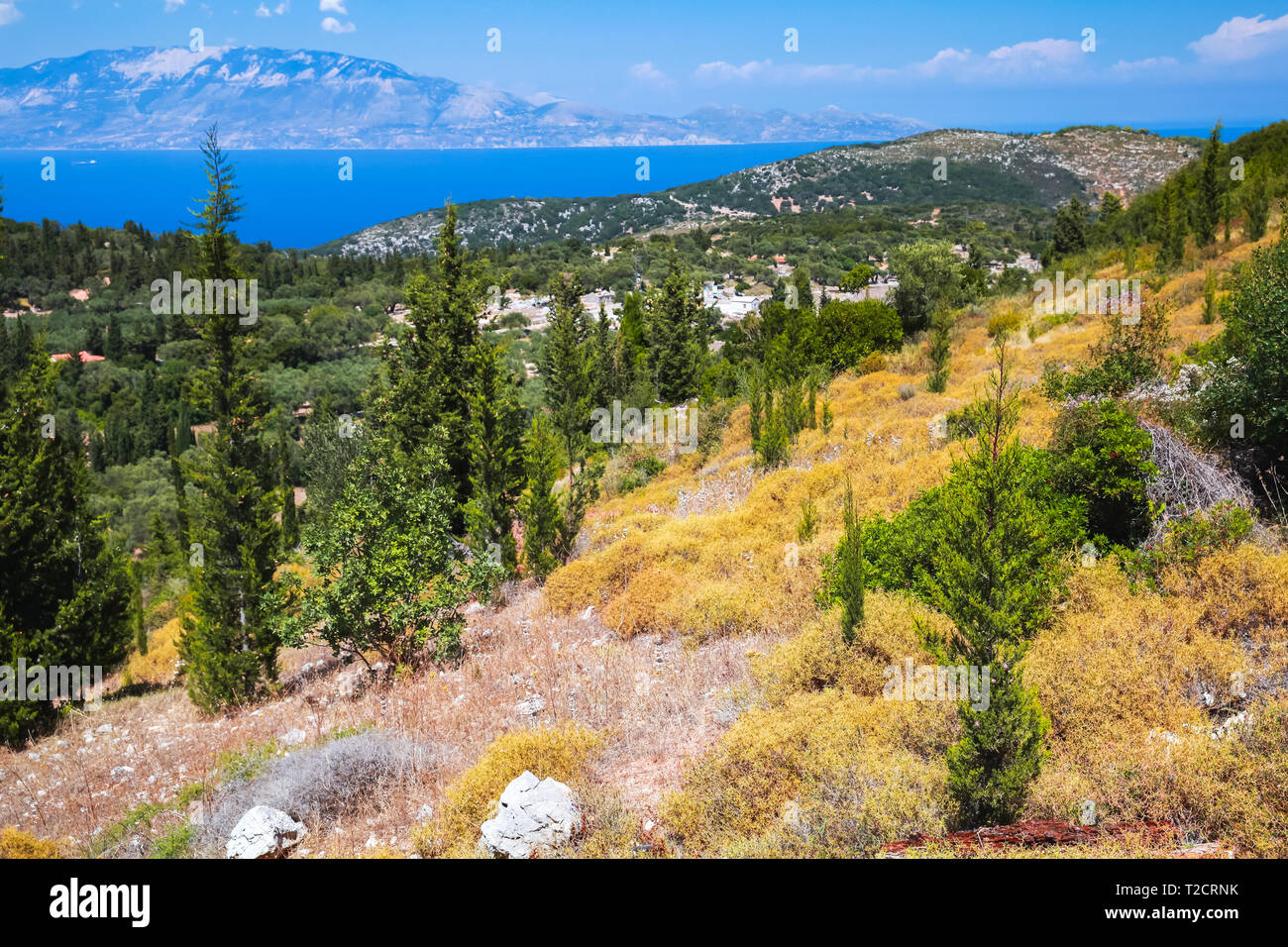 Greece cypress hi-res stock photography and images - Alamy