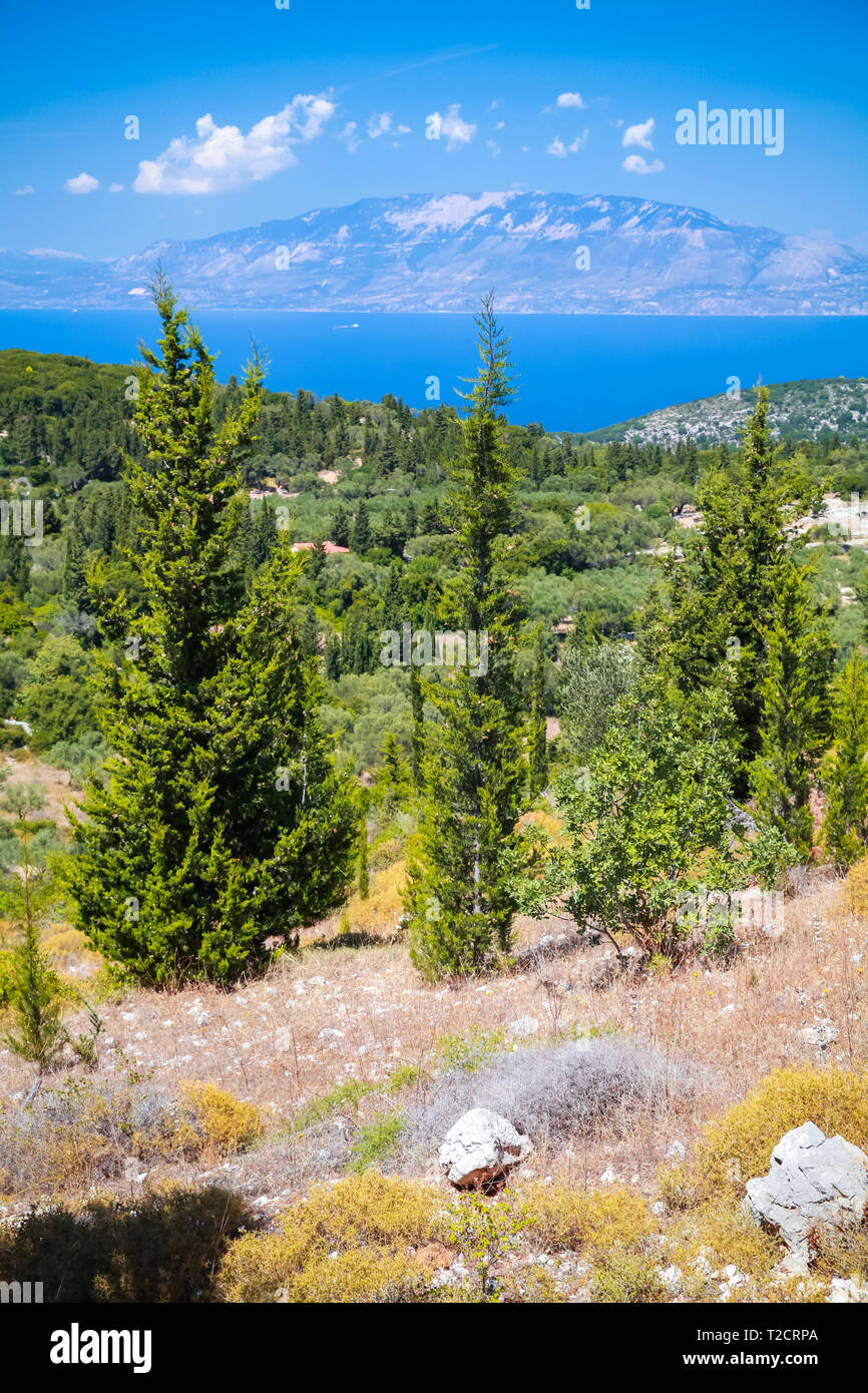 Coastal summer landscape with cypress trees. Zakynthos, Greek island in ...