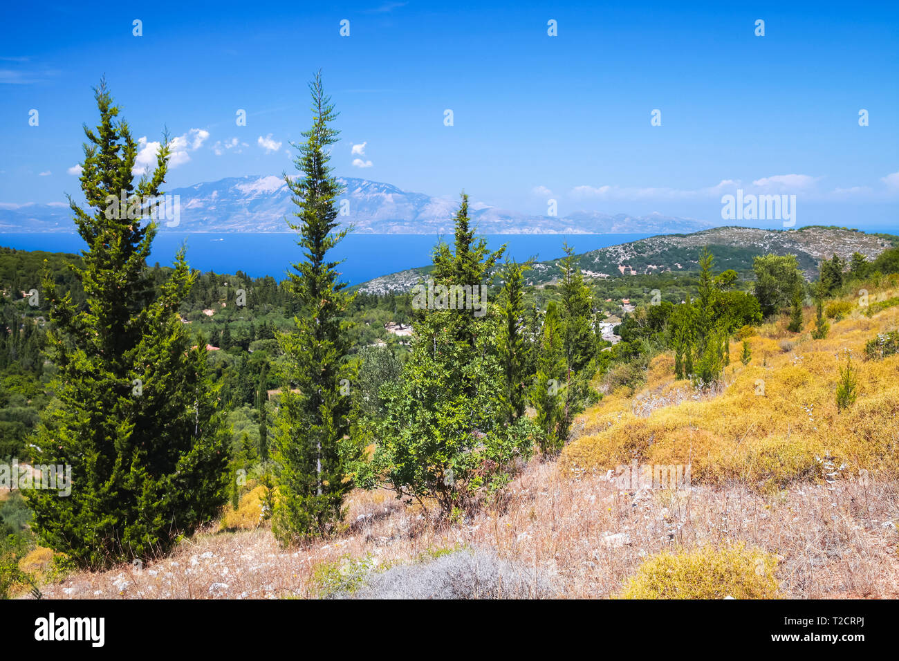 Wild cypress trees. Coastal summer landscape of Zakynthos, Greek island ...