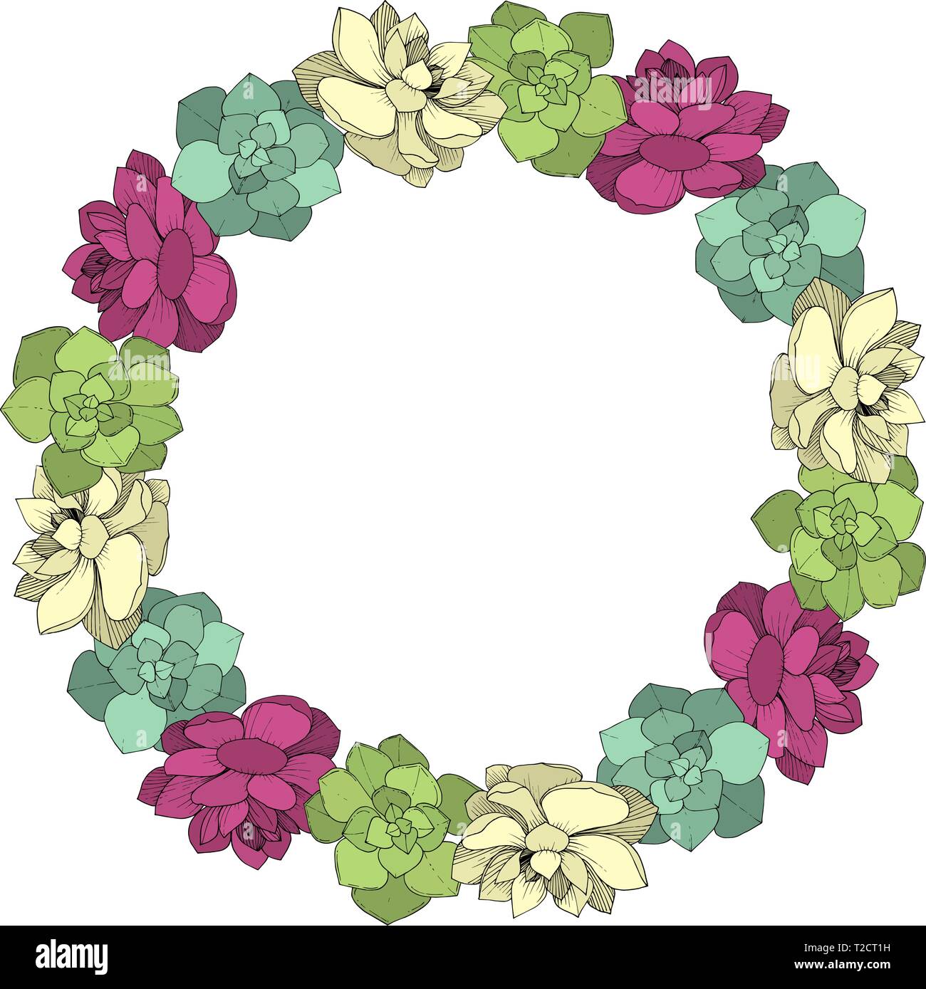 Vector Succulents floral botanical flower. Engraved ink art on white ...