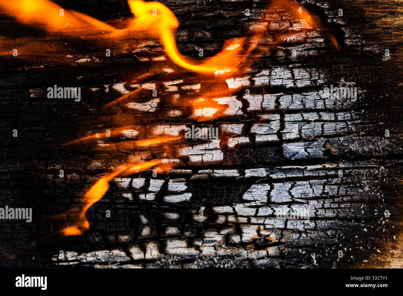 Texture of close up wood plate, While burning from fired Stock Photo ...