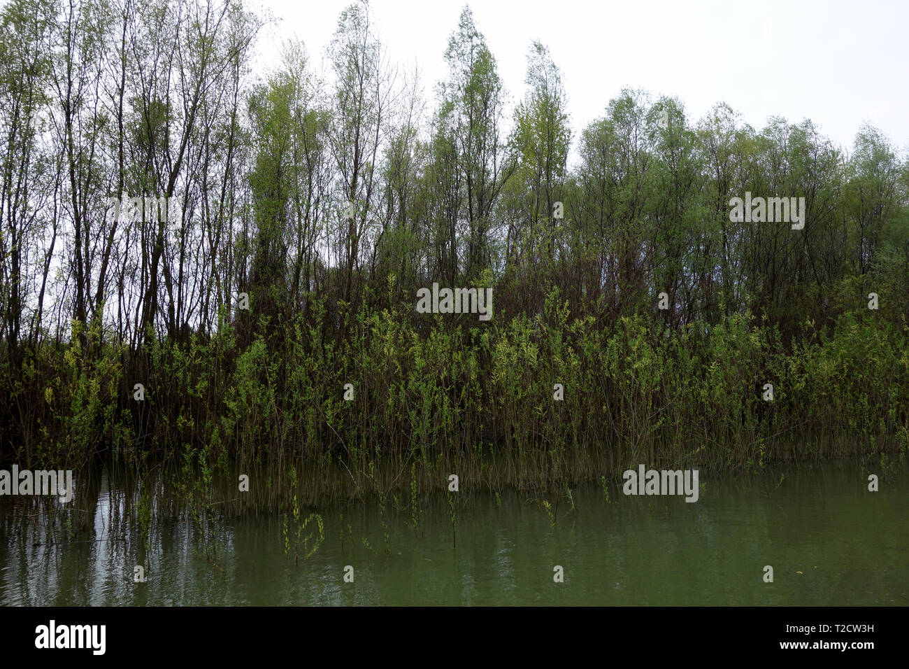 Borcea island hi-res stock photography and images - Alamy