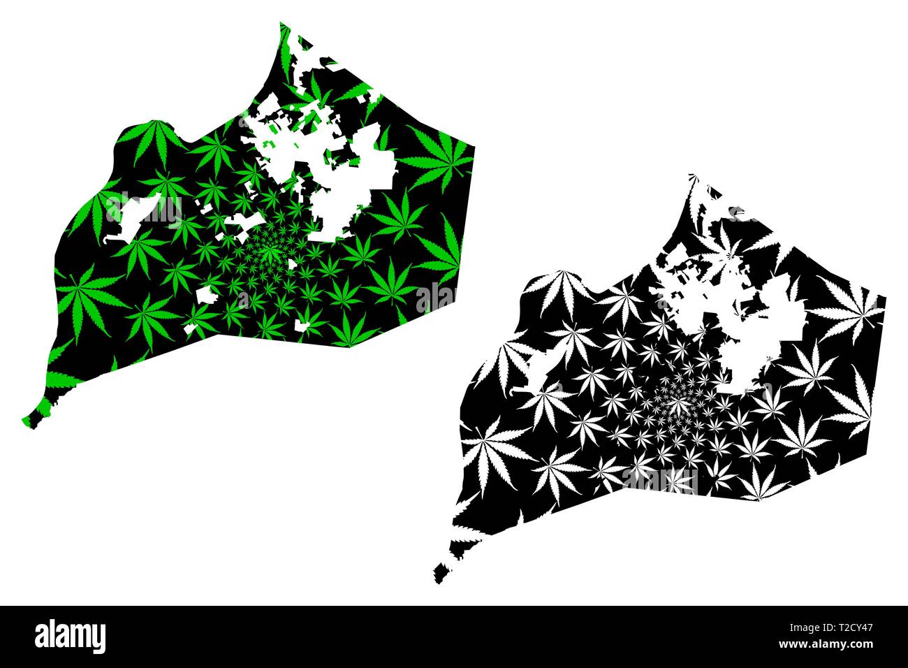 Cannabis u s Cut Out Stock Images & Pictures - Alamy