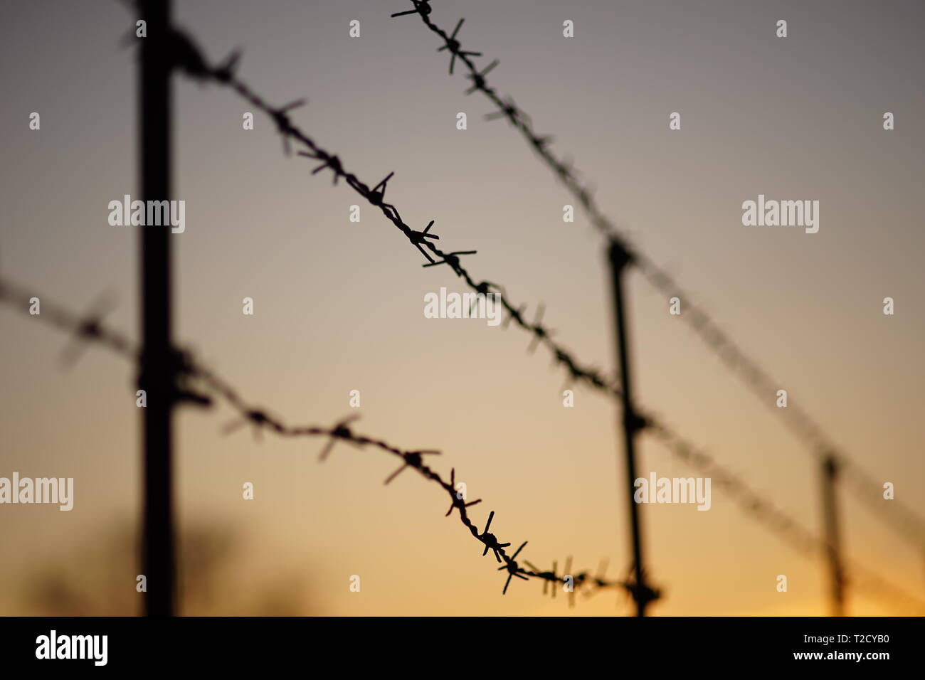 black silhouette of a barbed wire fence in evening Stock Photo - Alamy