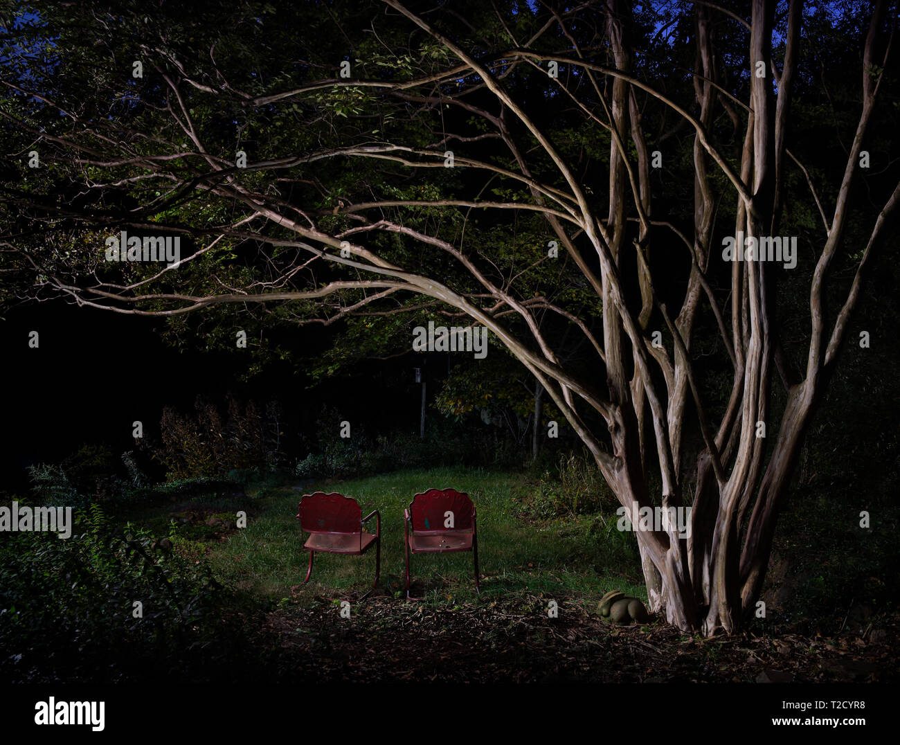 Two lawn chairs under branches of crape myrtle tree at night Stock ...