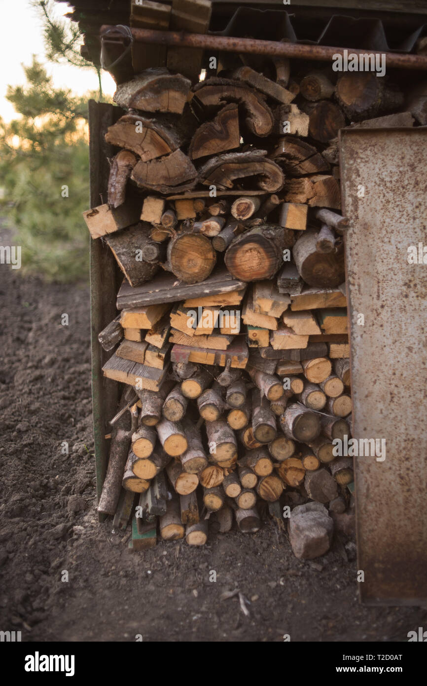 Round logs different hi-res stock photography and images - Alamy