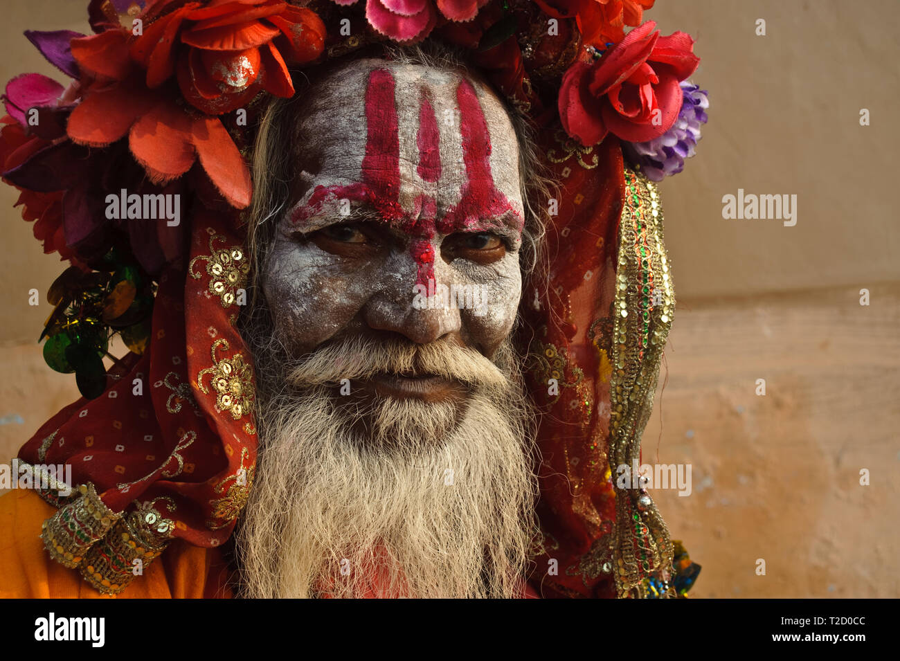 Hindu ascetic ("sadhu") ( India Stock Photo - Alamy