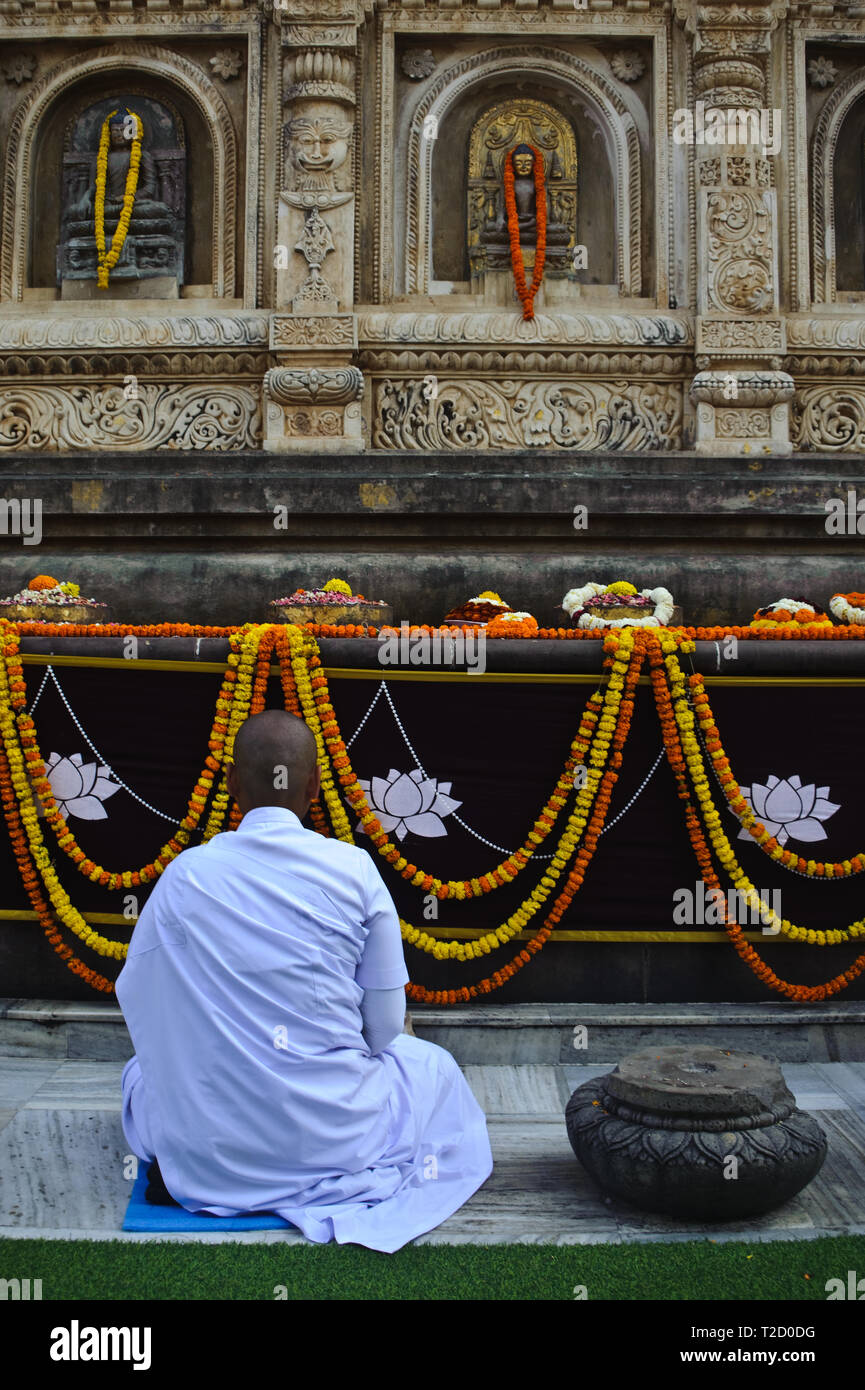 Buddhist nun meditation hi-res stock photography and images - Alamy
